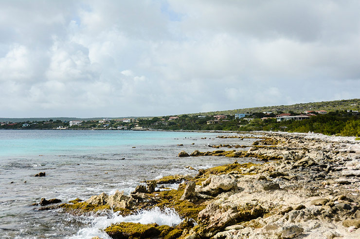 Bonaire, Caribe: um dos lugares mais preservados do mundo!