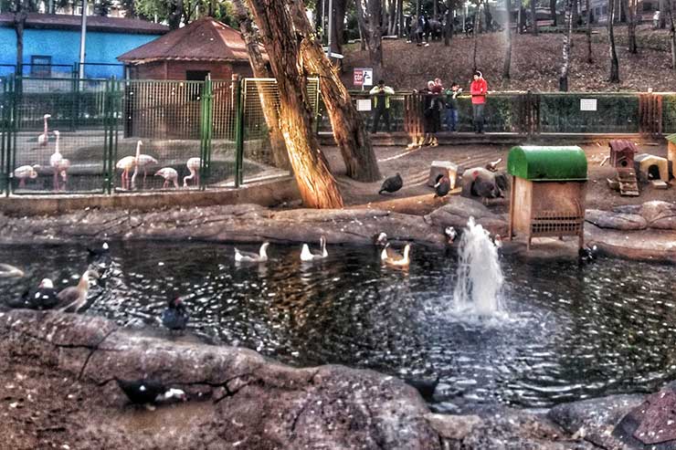 Conheça as melhores cidades da Turquia para visitar!